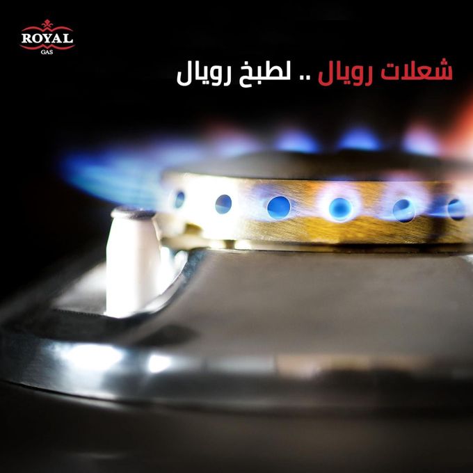 Crystal Cooker 60 Fan Cast - Royal - Jumia Egypt